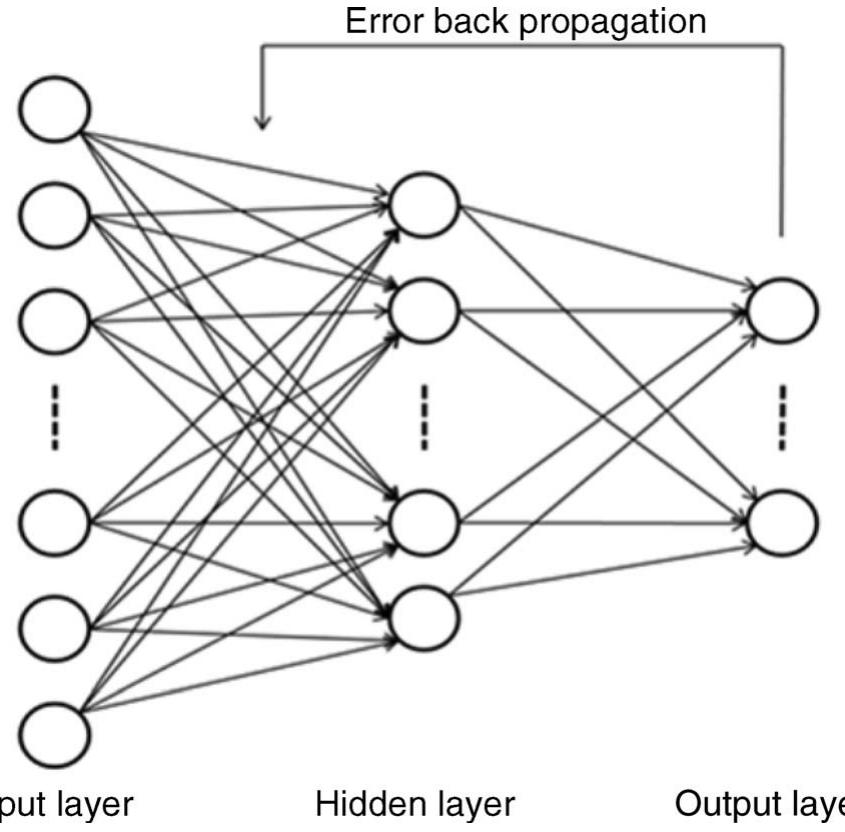 Schematic illustration of a back-propagation neural network.