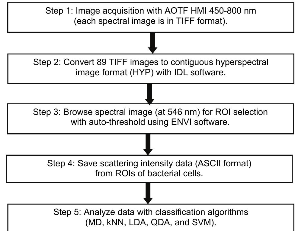 Flowchart of procedure for hyperspectral microscope image