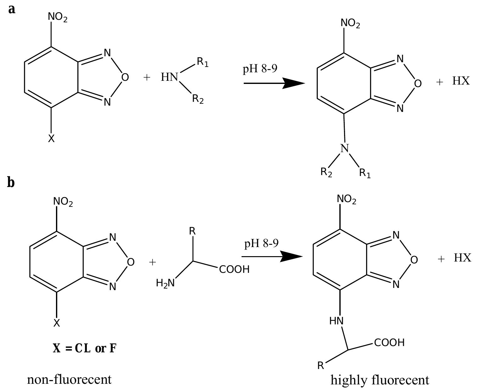 Schematic diagram for the reaction of amines and amino acids