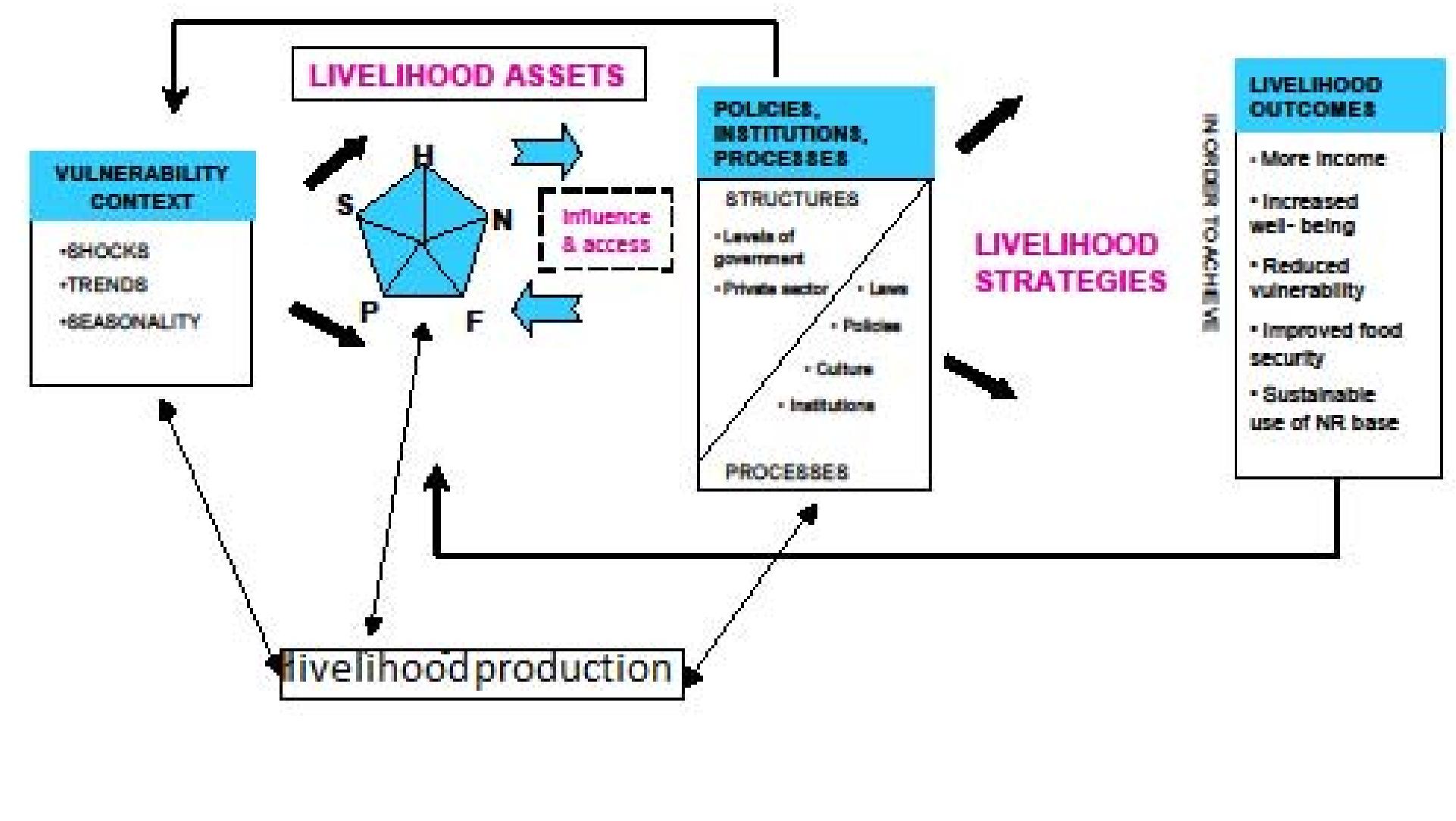 Figure 1 - from The Impact of Small Scale Irrigation Schemes