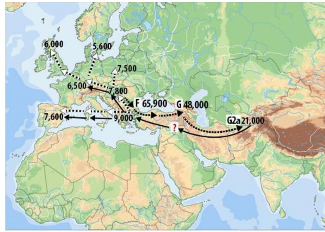 Map of the spread of haplogroup g2a according to anton