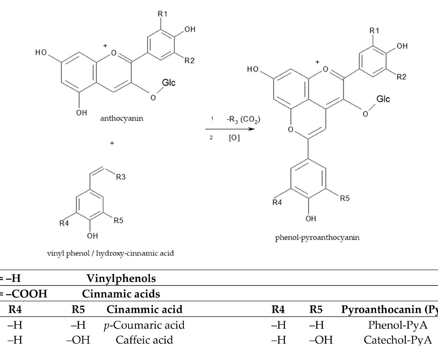 The structure of phenol-pyroanthocyanins generated from the
