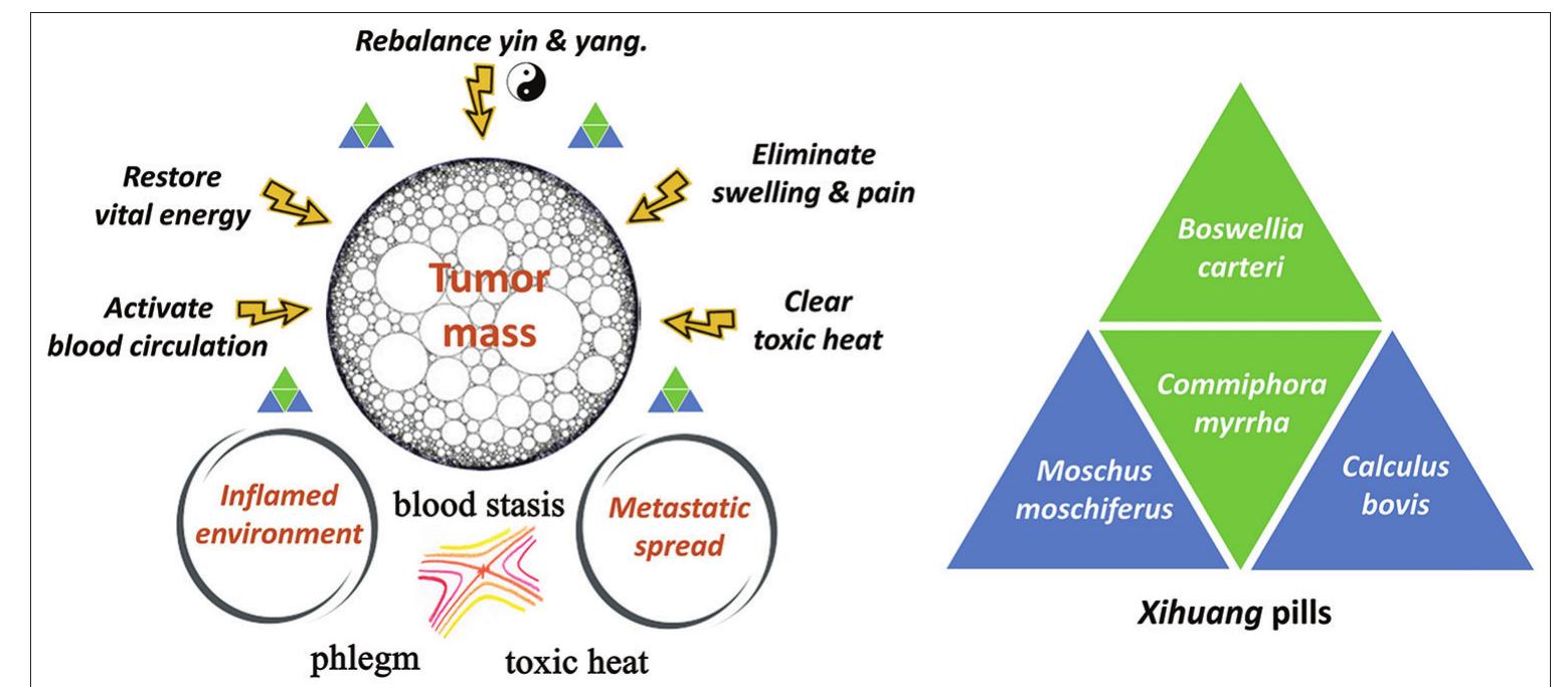 Illustration of the mechanism of action of xhp according to