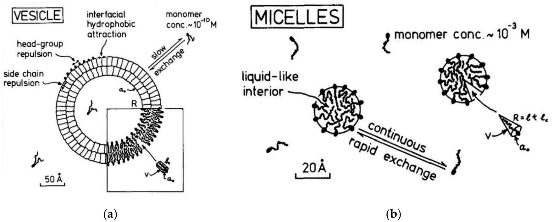 Schematic representation of the cross-section of (a) a