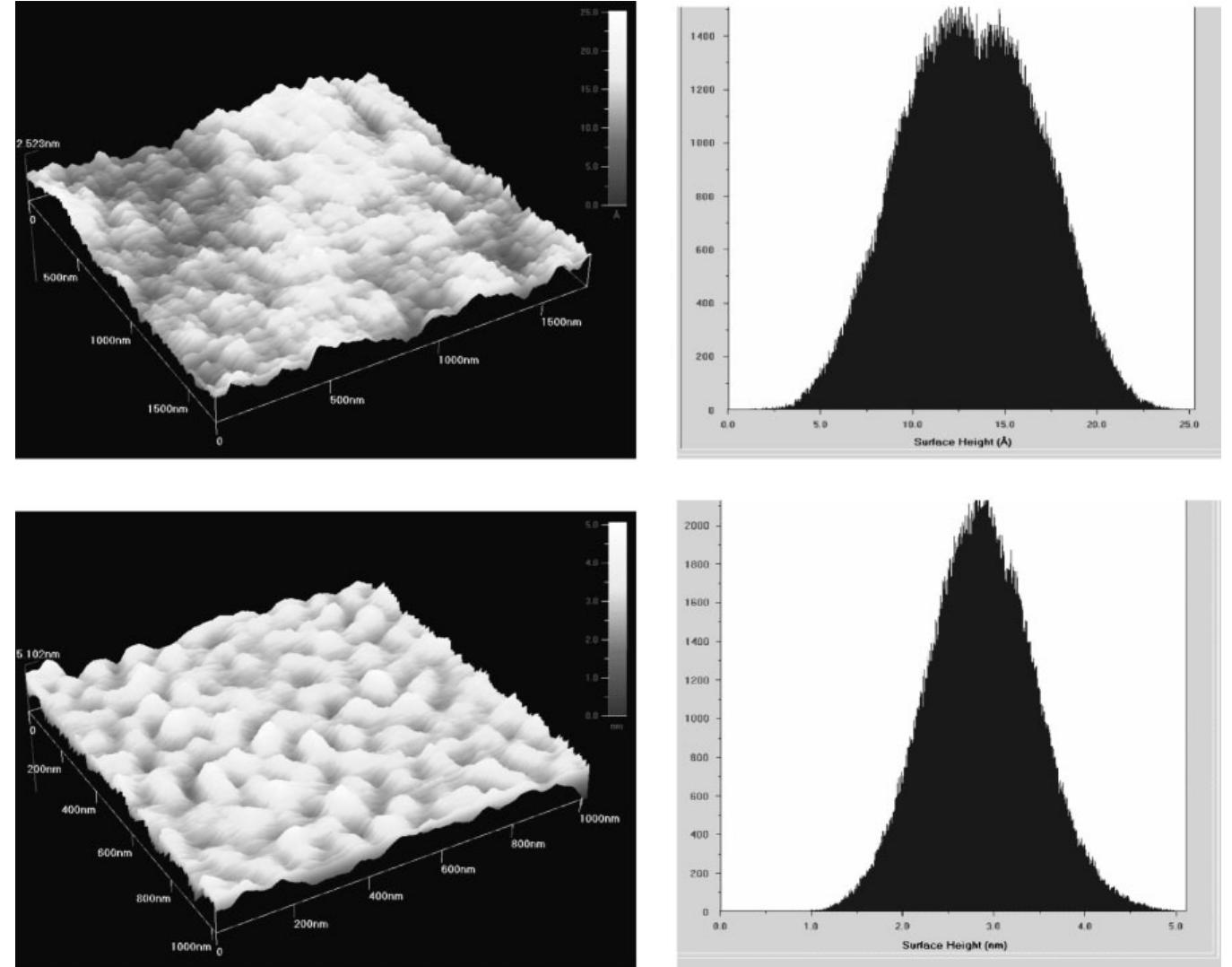 Afm surface morphology images and surface roughness
