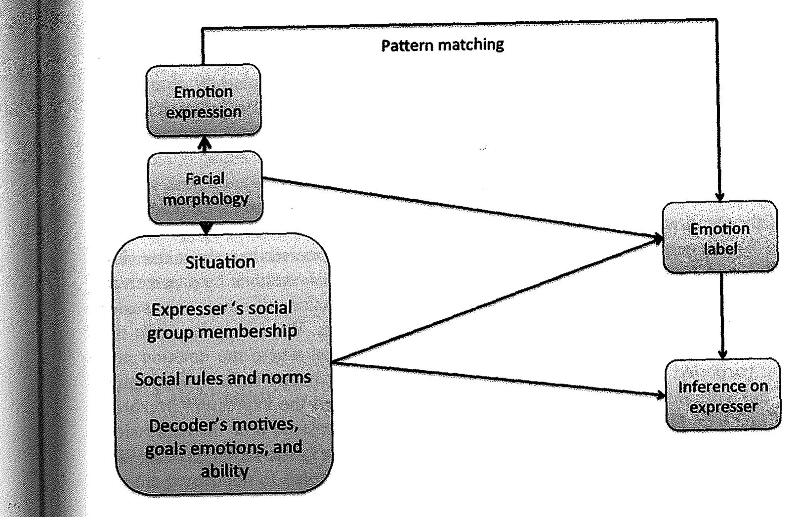 2. the two paths model of emotion perception
