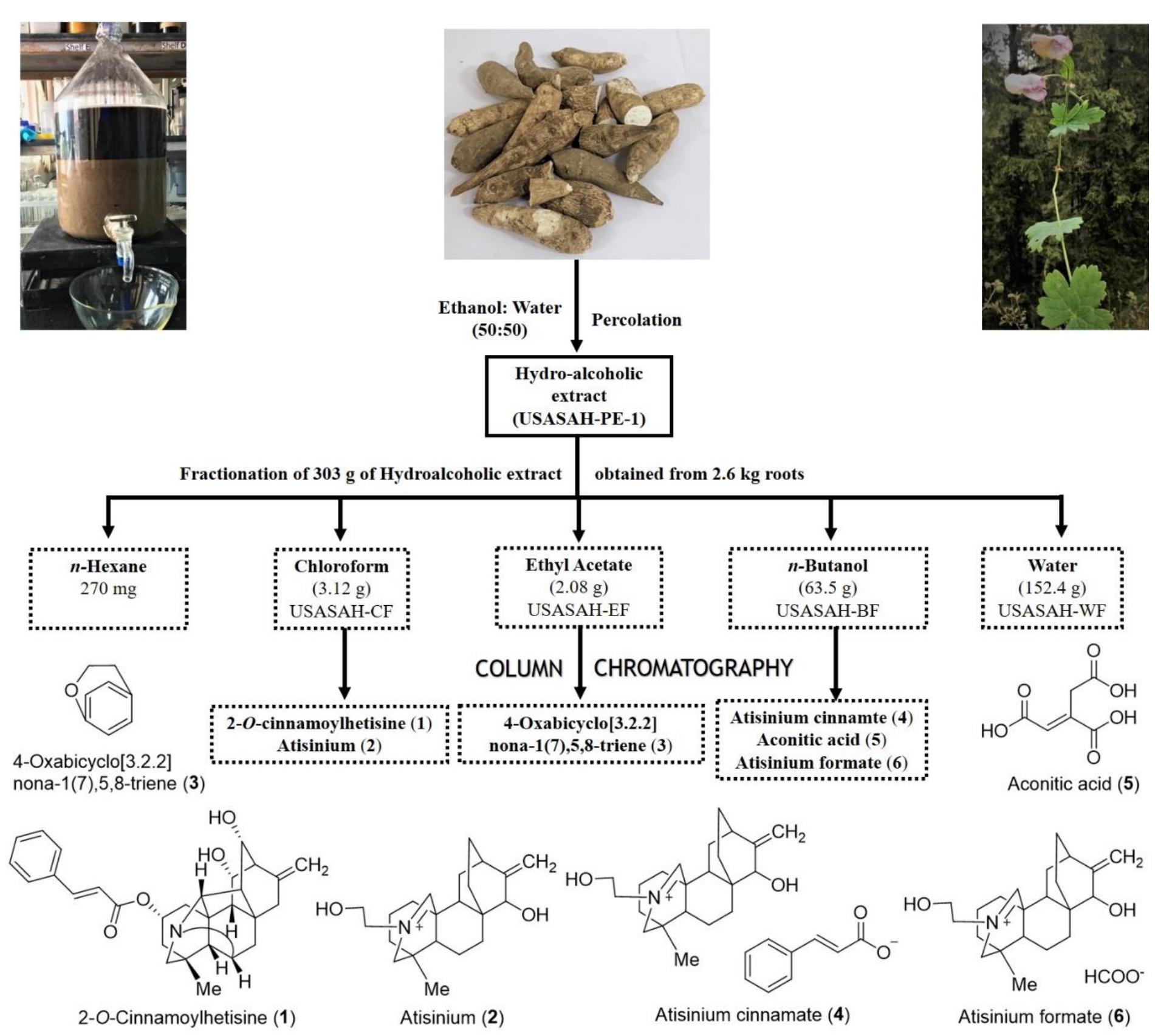 Schematic representation showing extraction, fractionation