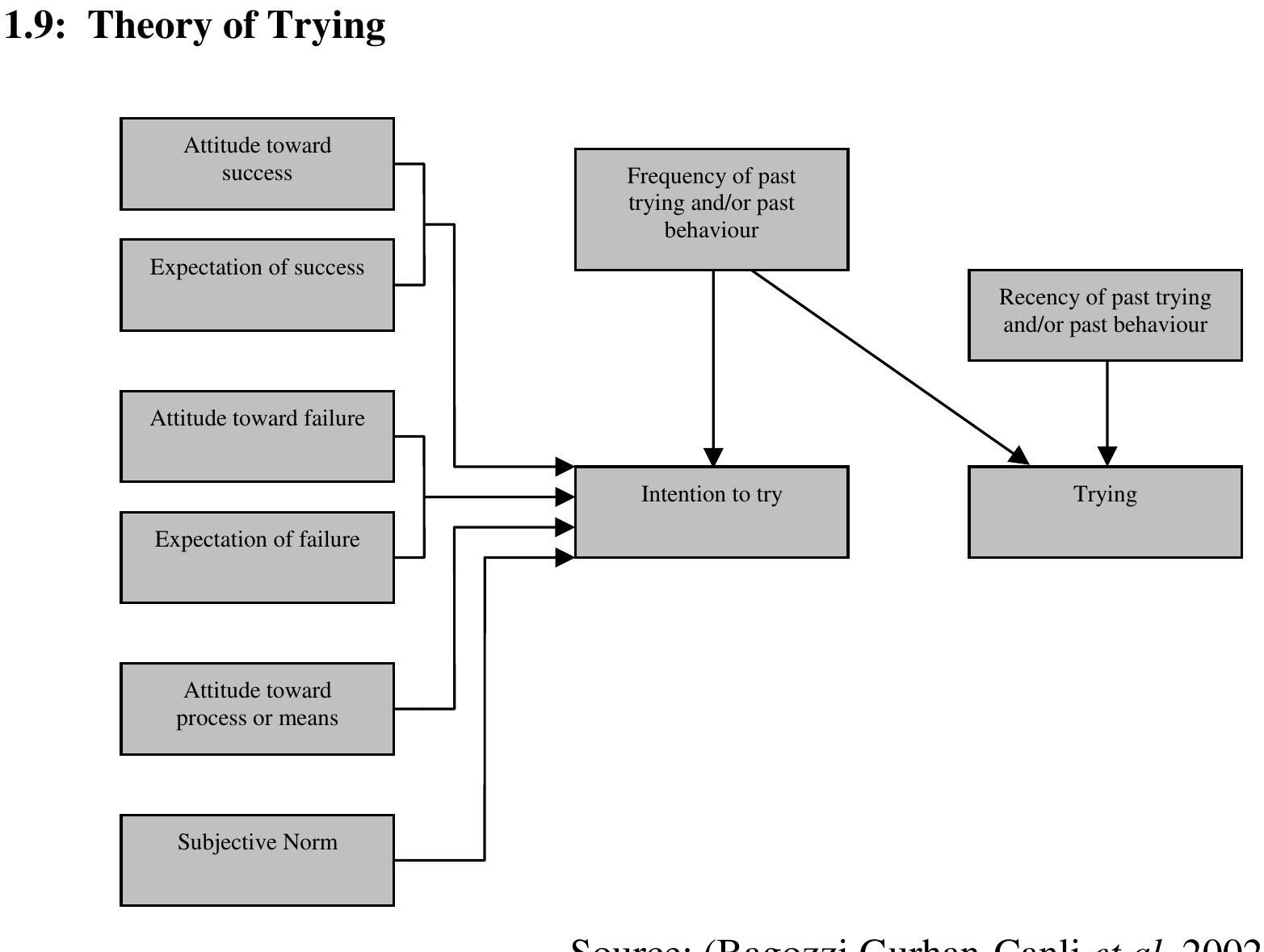 Figure 6 - Consumer Behaviour Theory: Approaches and Models