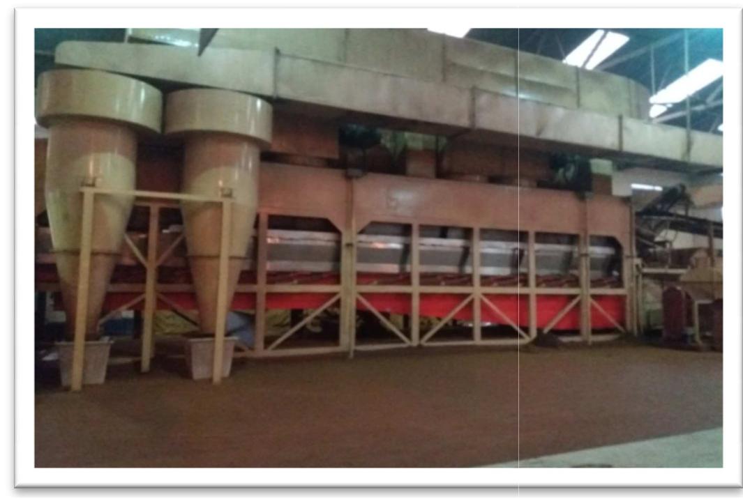 Vibro fluid bed dryer (vfbd) drying: in this process tea