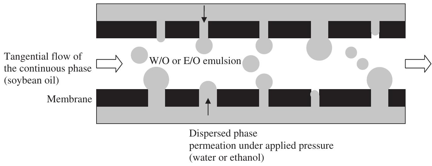 Schematic drawing of the preparation of w/o or e/o emulsions