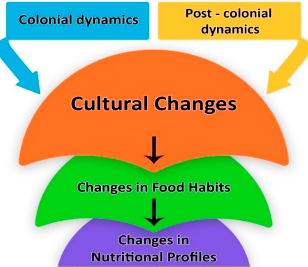 The conceptual framework for the colonial and postcolonial