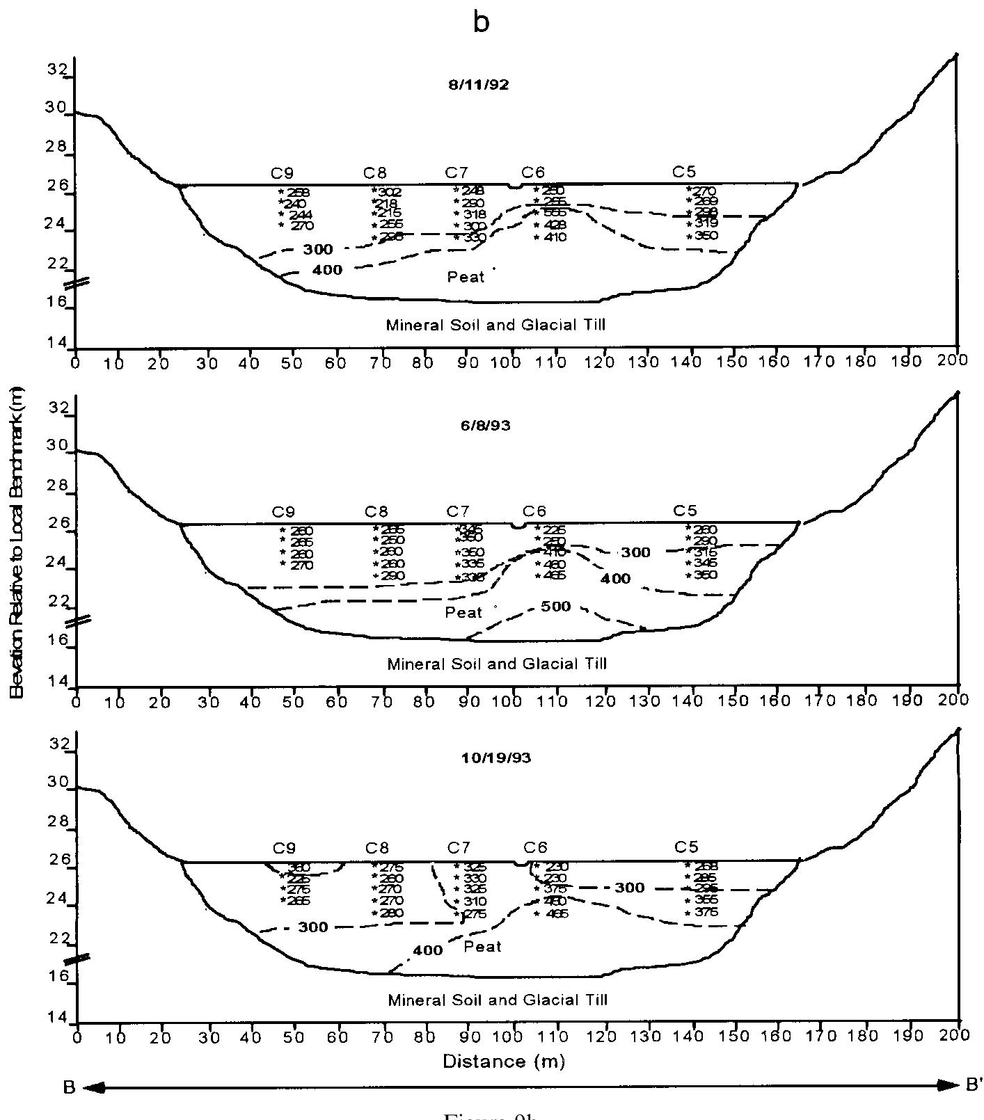 A,b. cross section b—b’ through the mclean preserve fen