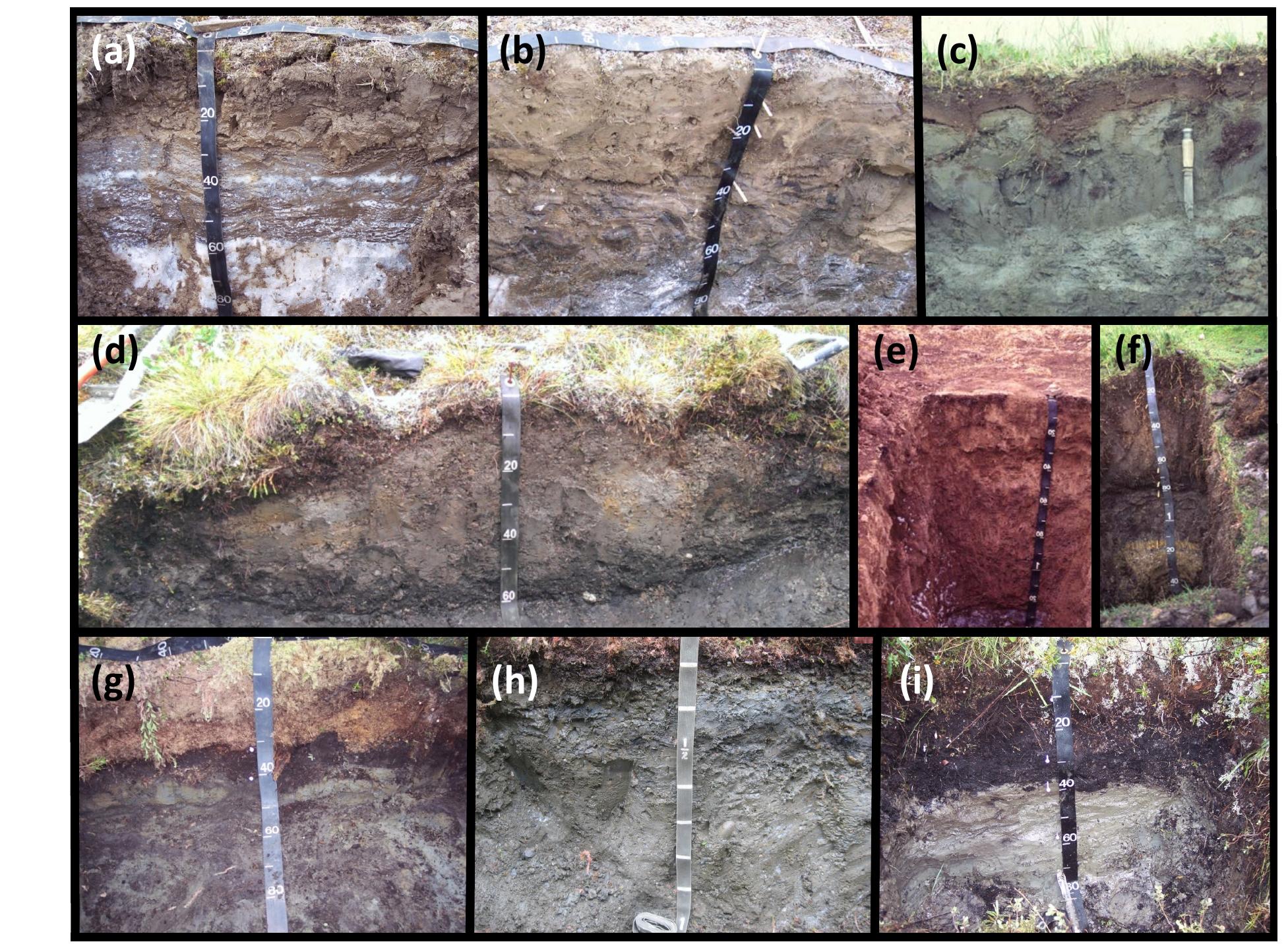 Examples of permafrost-affected soils from different areas: