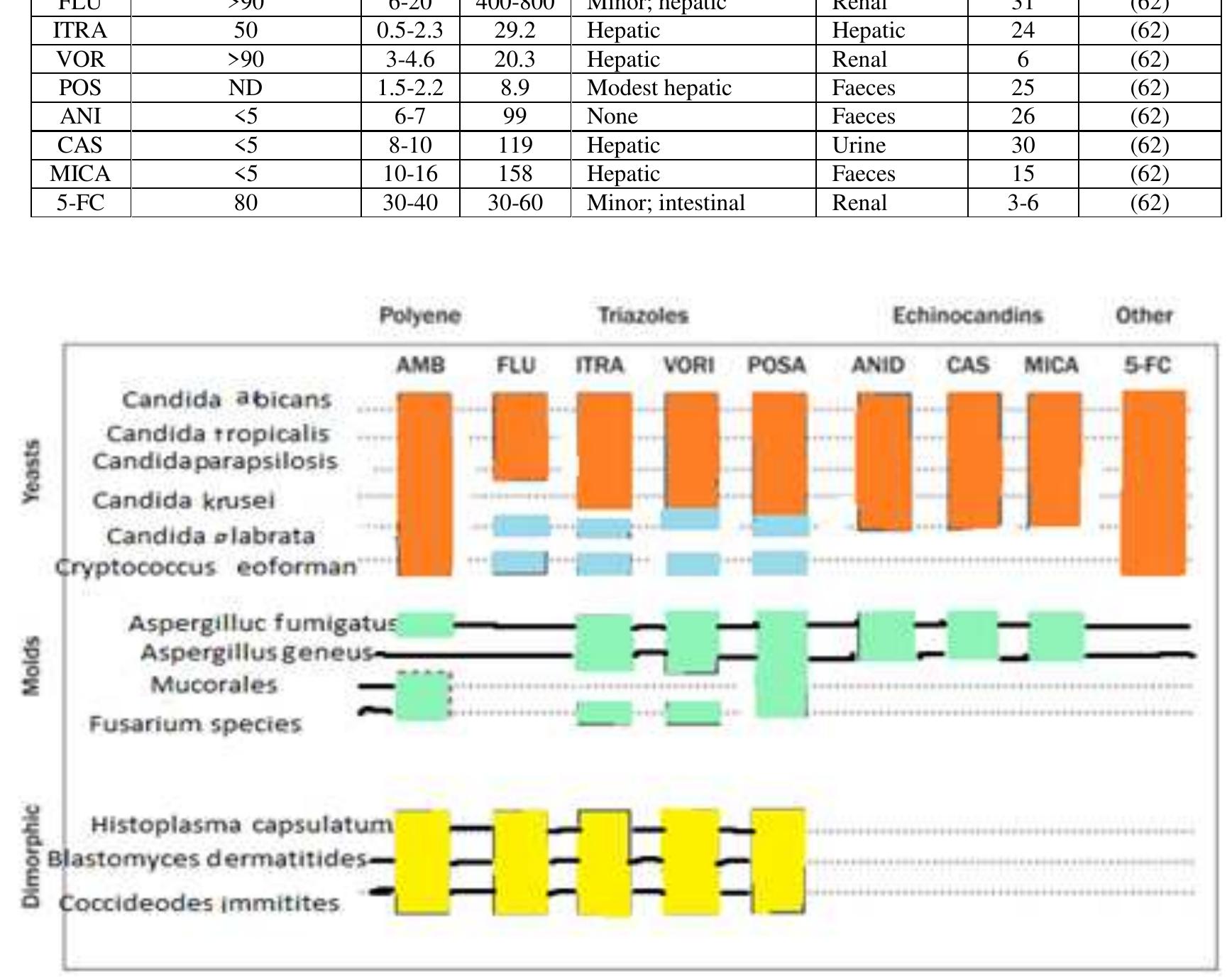 Spectrum of action of systemic antifungal agents. solid