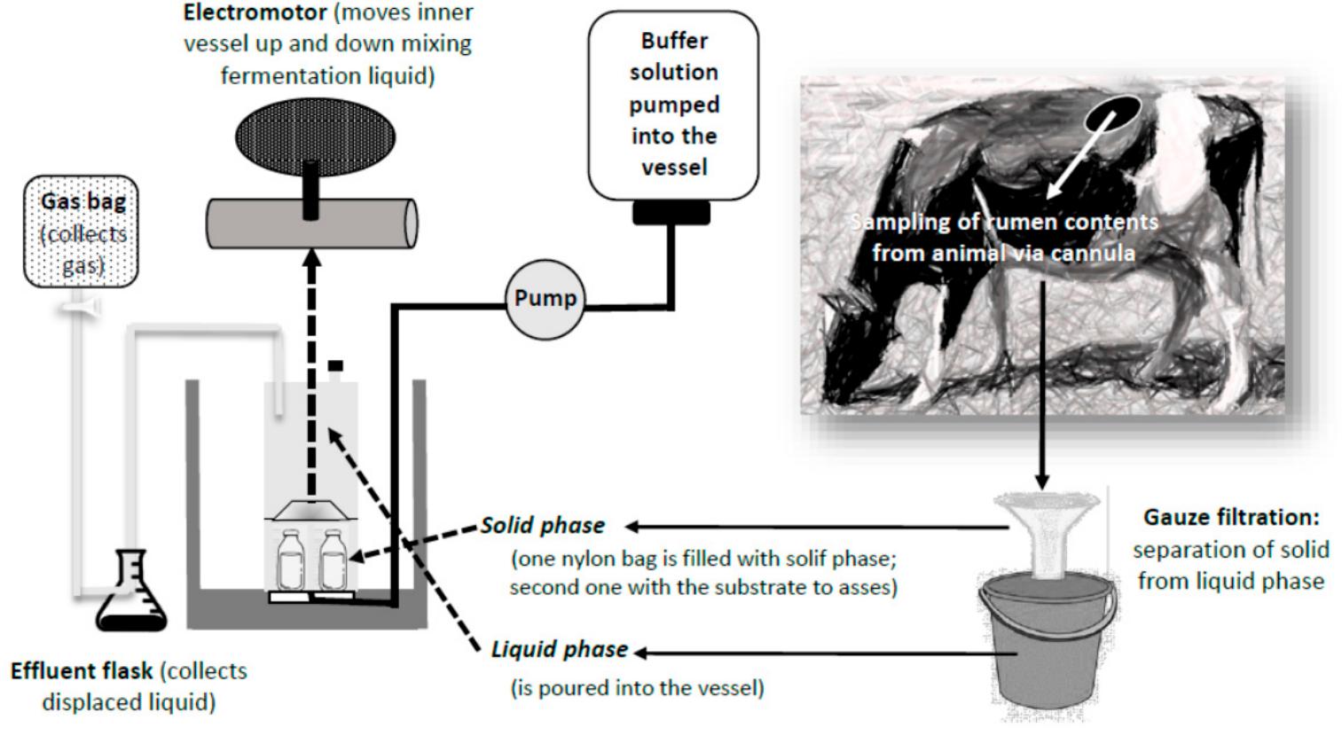 One fermentation vessel of the rusitec system (adapted from