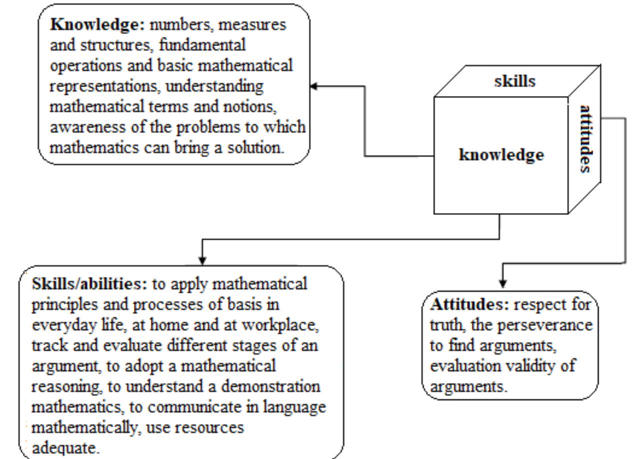 The components of mathematical competence and their