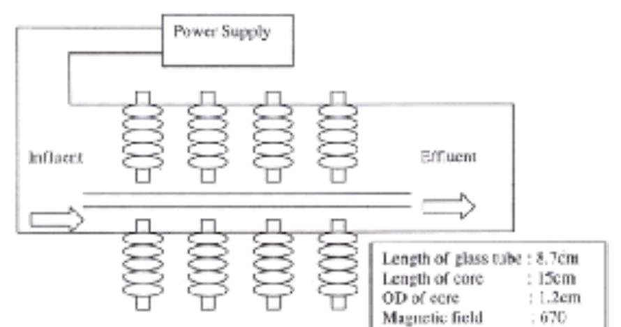 Schematic diagram of general magnetic reactor