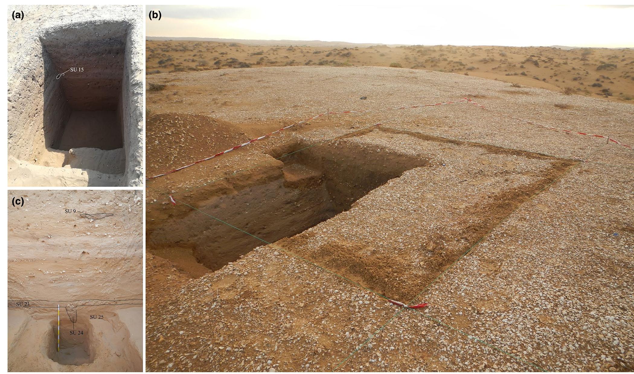 (a) the initial test trench at uaq38 and (b) tracing of the