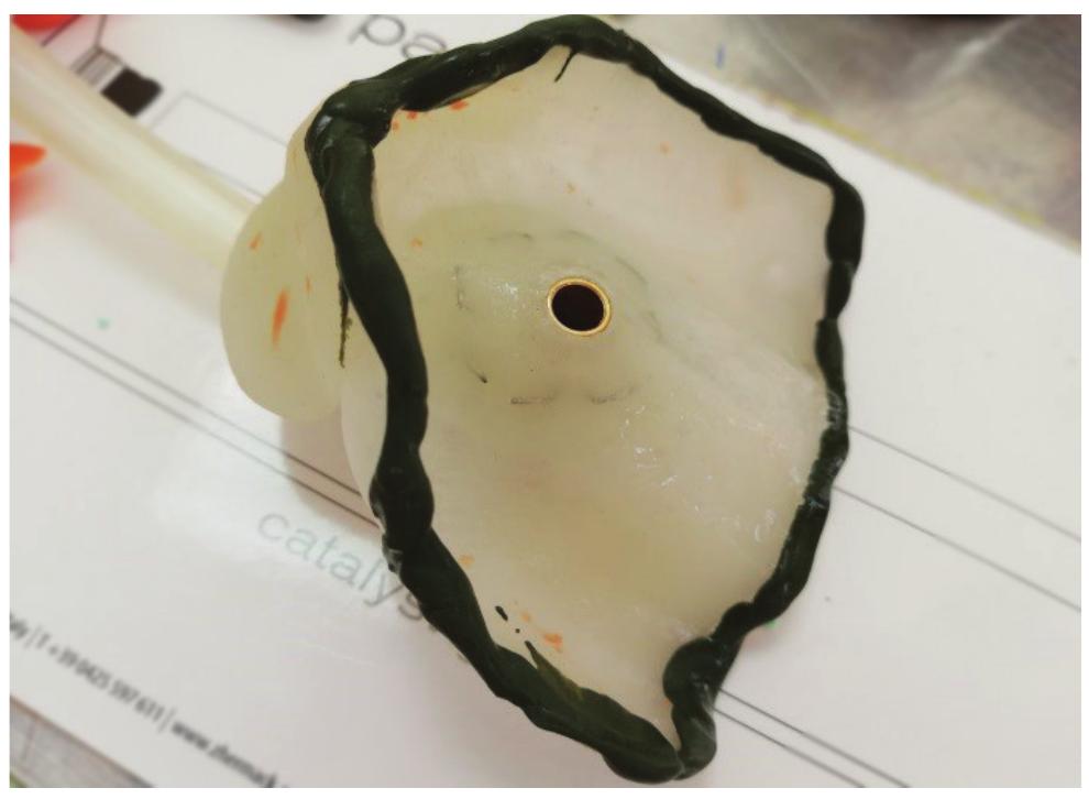 A custom tray after border molding procedure with impression