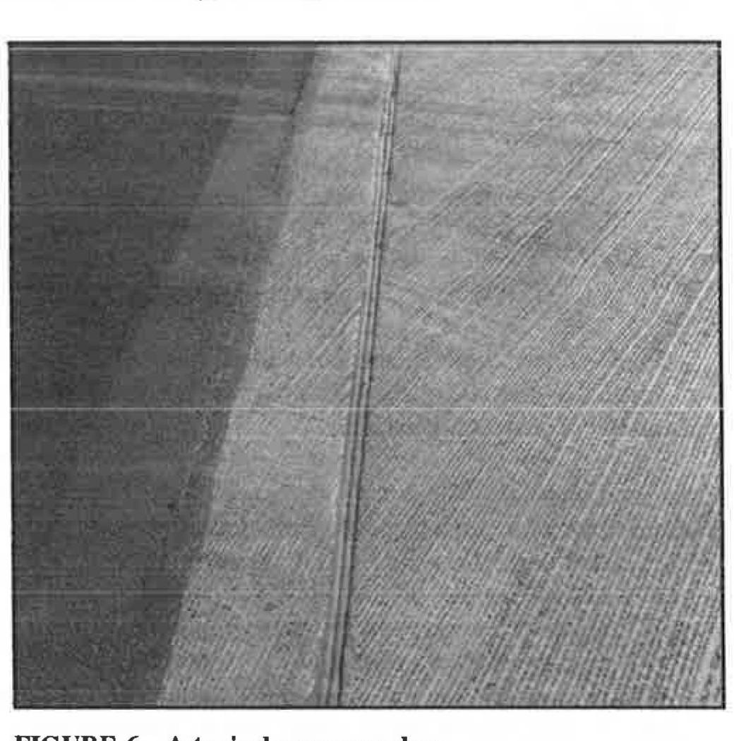 Figure 7 - Bridge Deck Expansion Joints