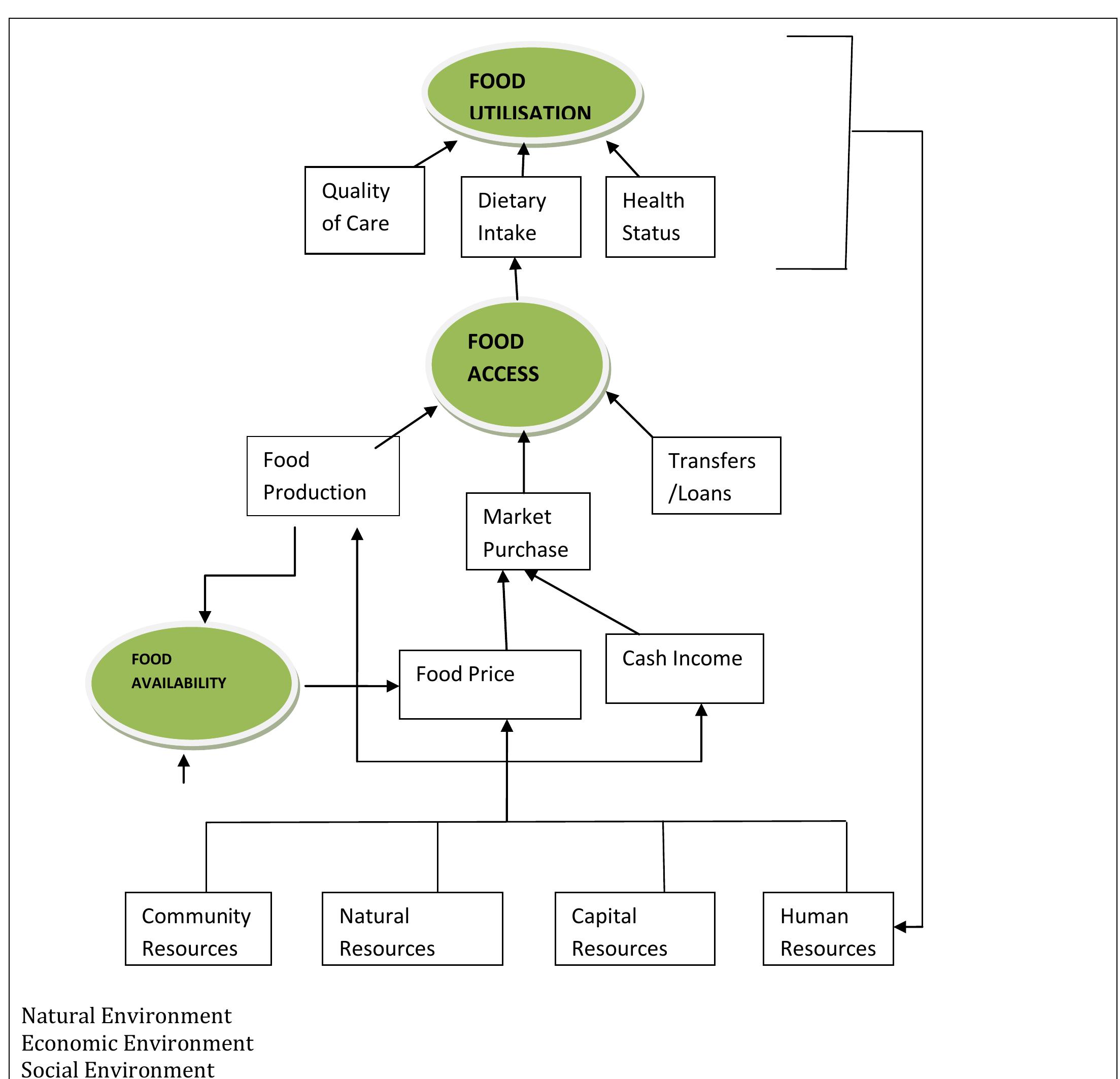 Food Security Conceptual Framework Adapted From Riely Et 7107
