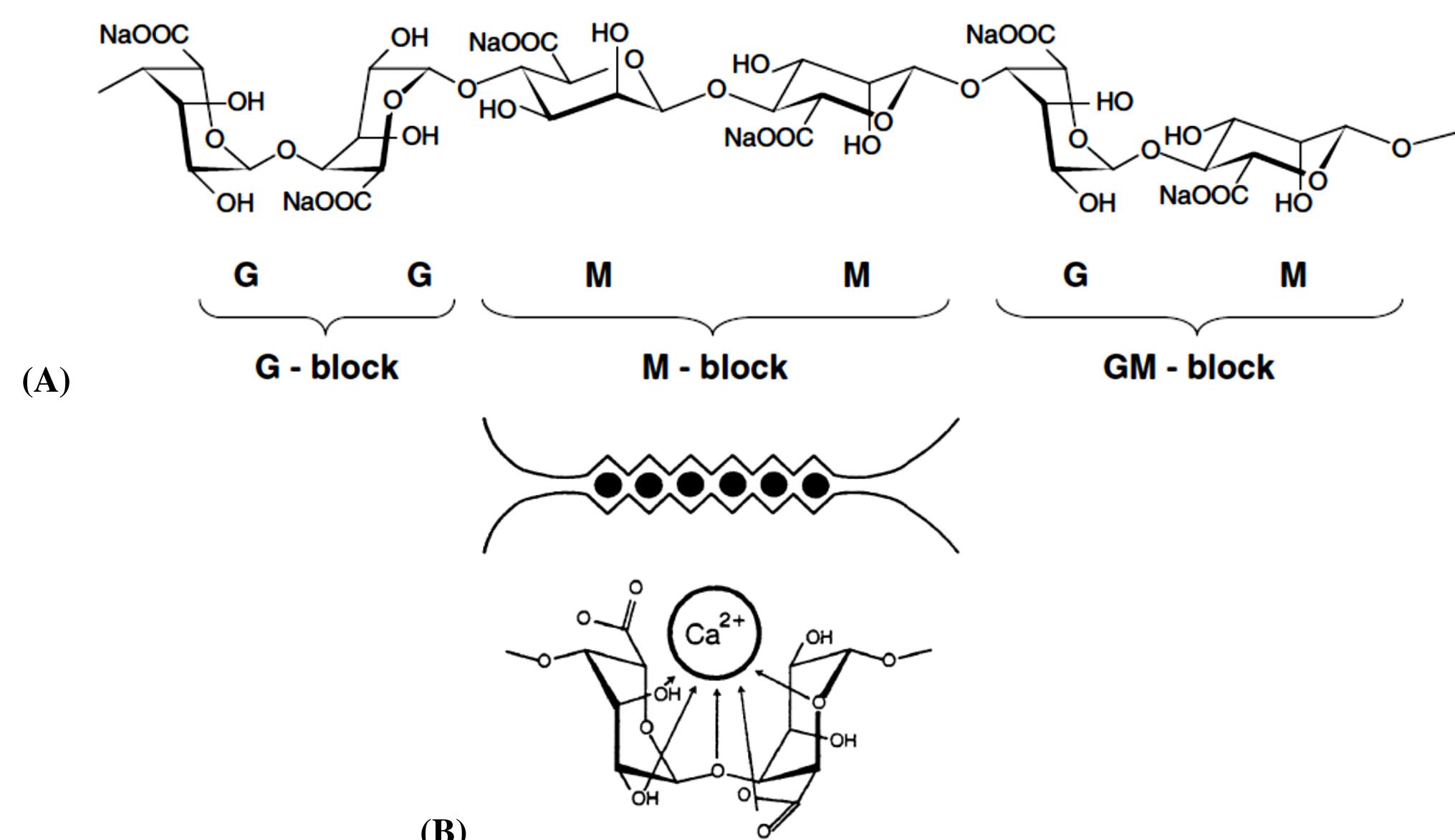 5: (a) structure of sodium alginate and (b) egg-box model