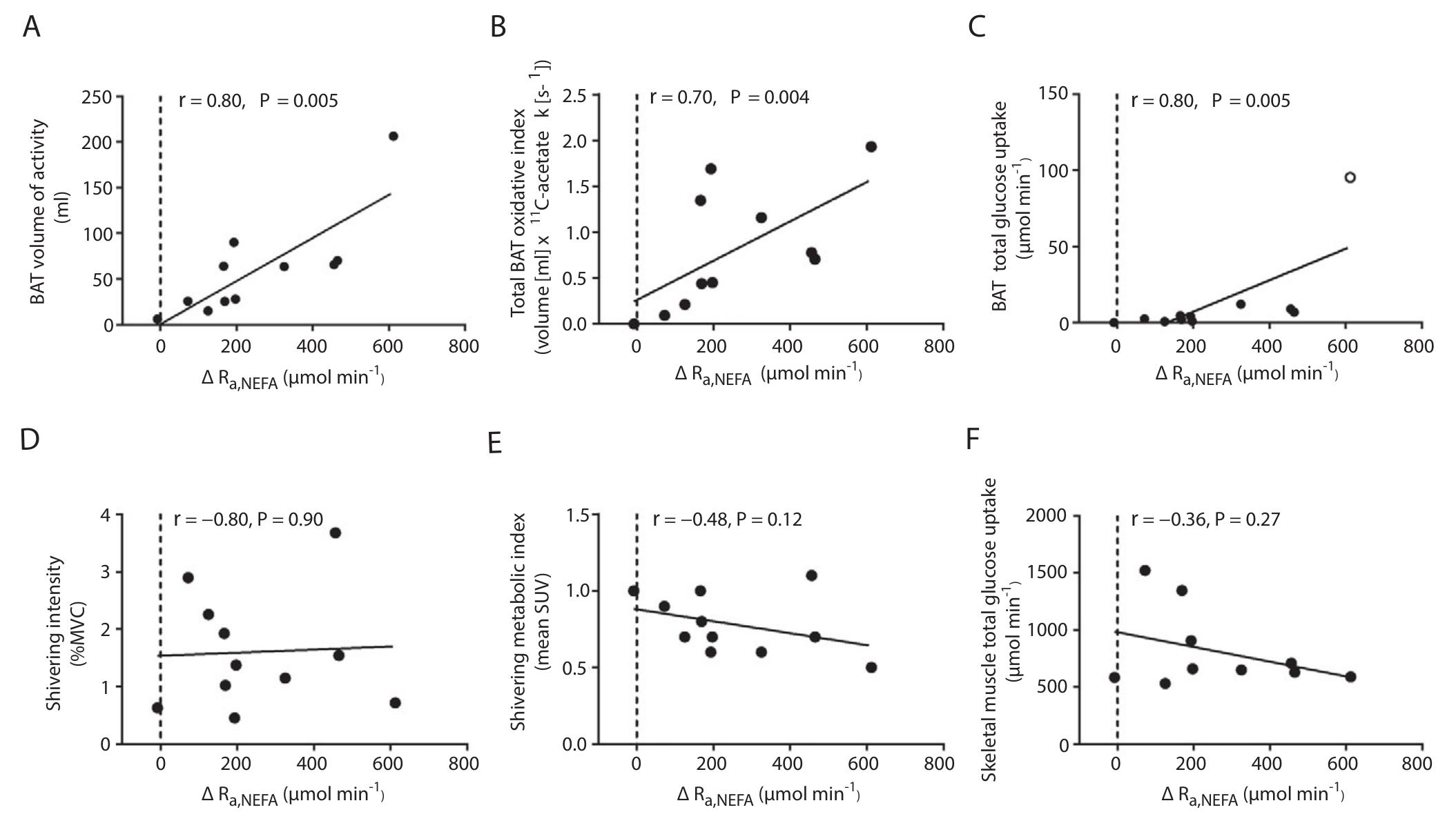 Sympathetic nervous system-mediated wat lipolysis and bat