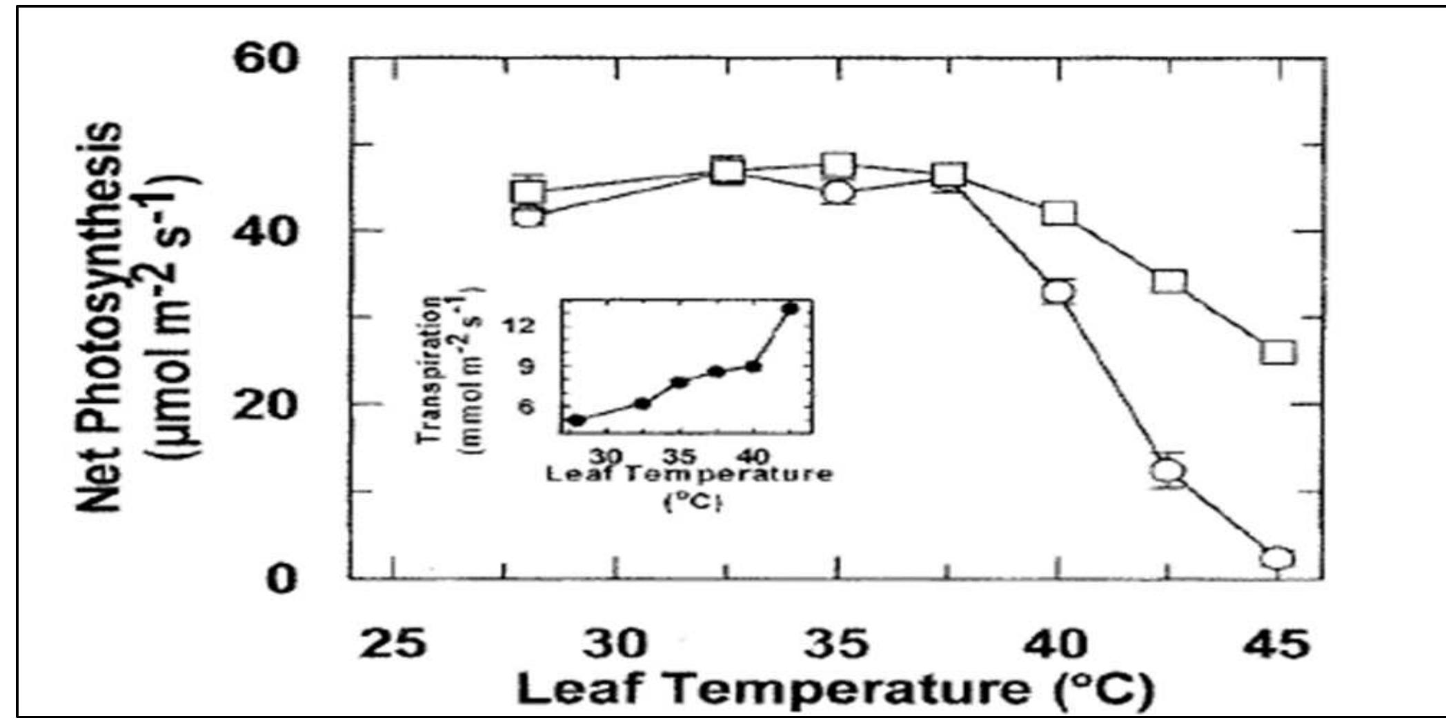 A classic, idealized diagram of temperature acclimation of