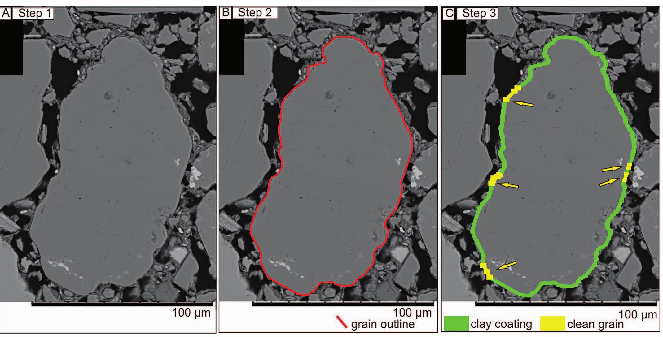 Fic. 3.—scanning-electron-microscopy (sem) image of