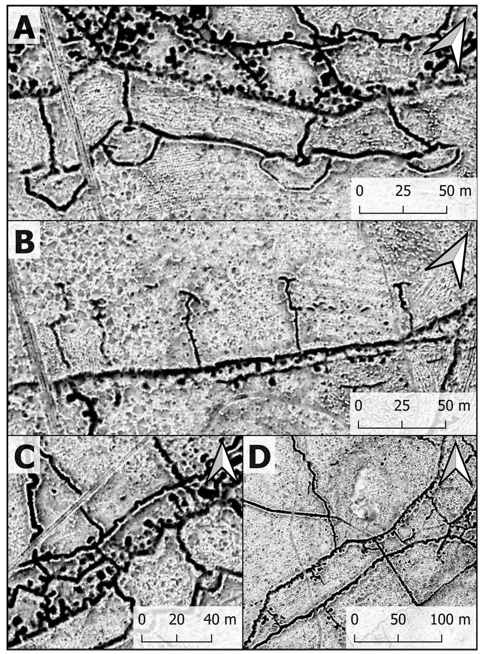 , selected features of the field fortification system
