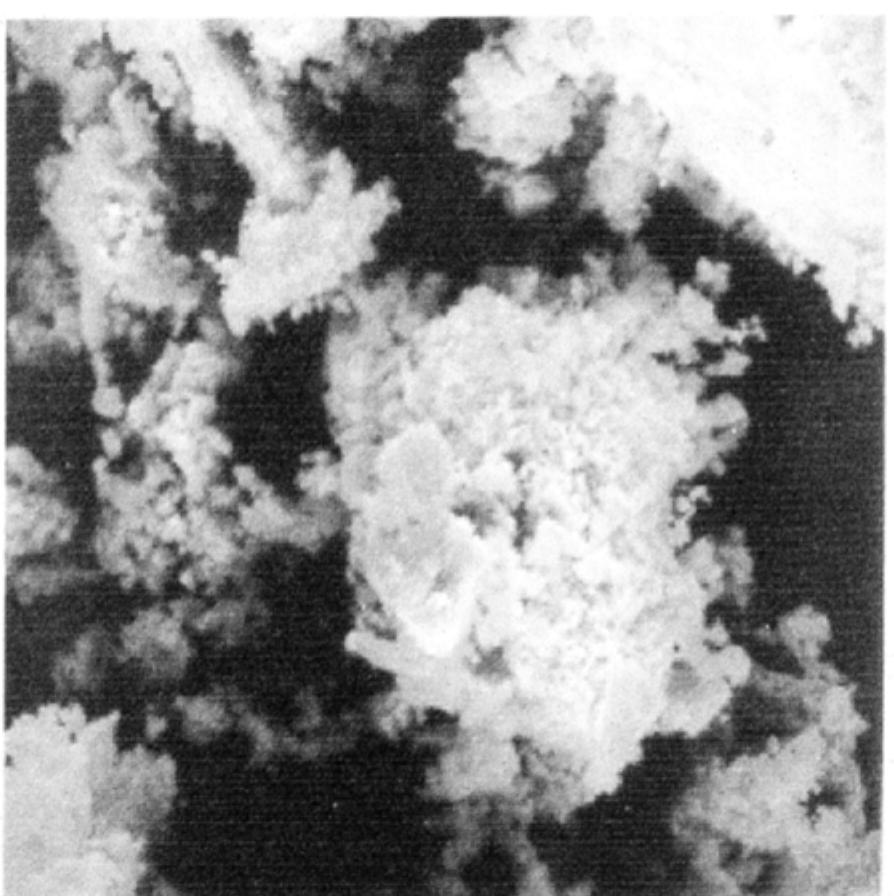 Nanocrystalline tin oxides are synthesized via precipitation