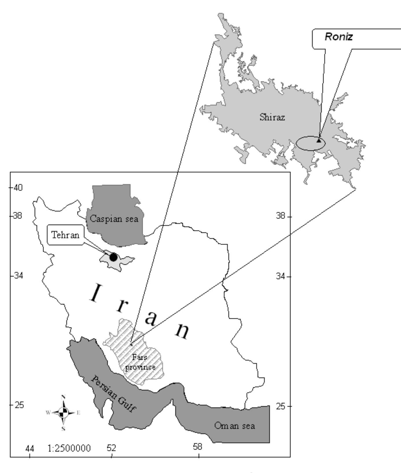 Figure 1 - The role and function of small towns in rural