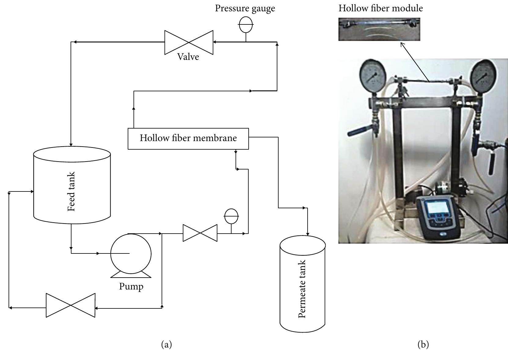(a) a schematic diagram of the membrane filtration setup.