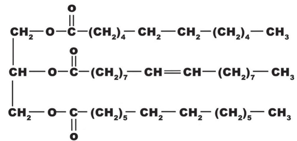 Schematic representation of triglyceride structure.