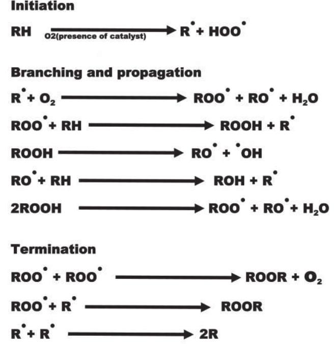 Schematic representation of oxidation reactions.