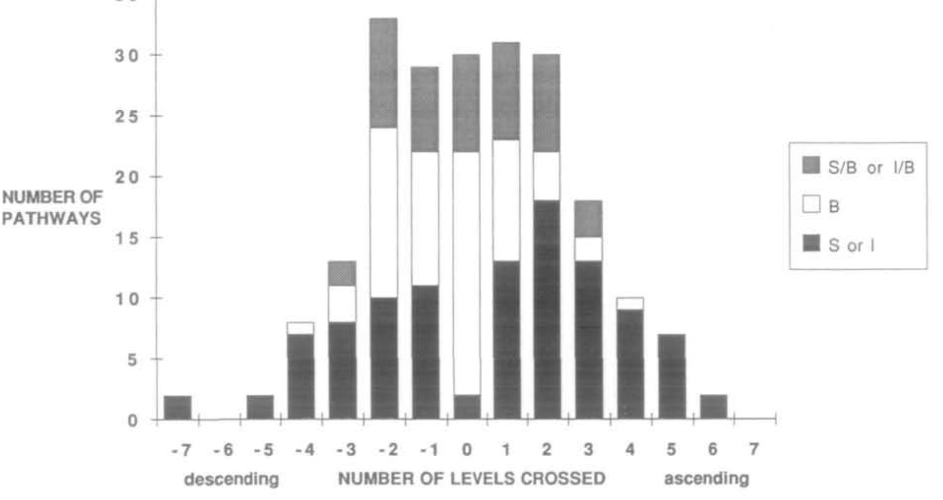 Relationship of laminar patterns for ces of origin to number