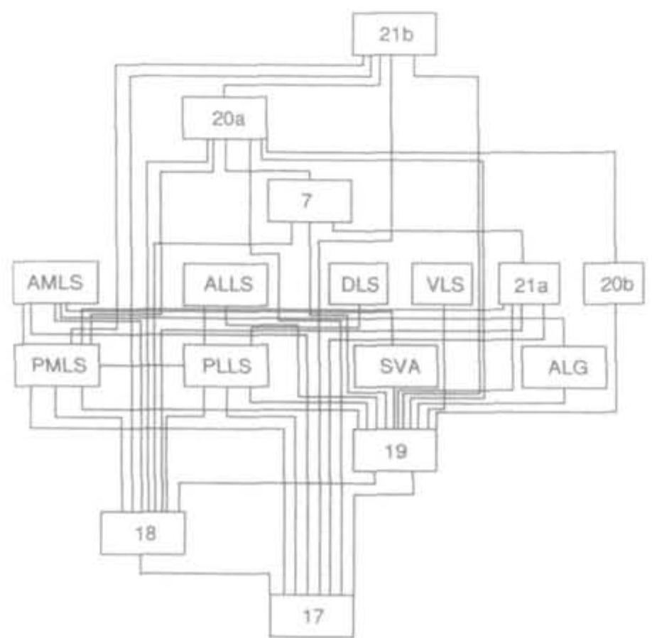 Hierarchy of visual cortical areas in cat, based cn