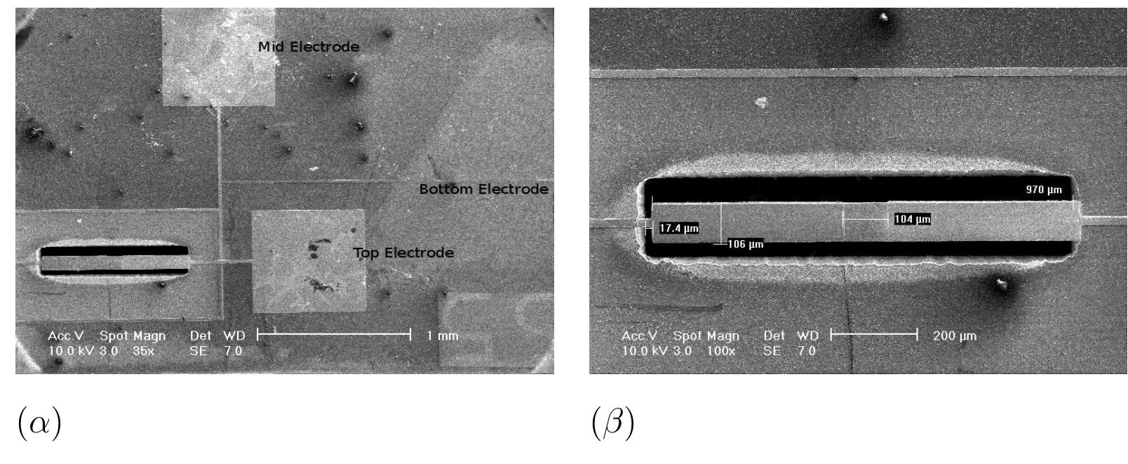 2: sem micrograph of a pzt bimorph (a) and the released beam