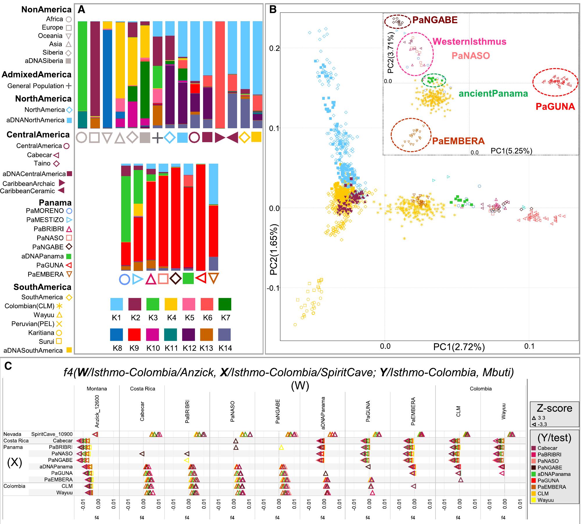 Overview of the genetic structure of ancient and modern