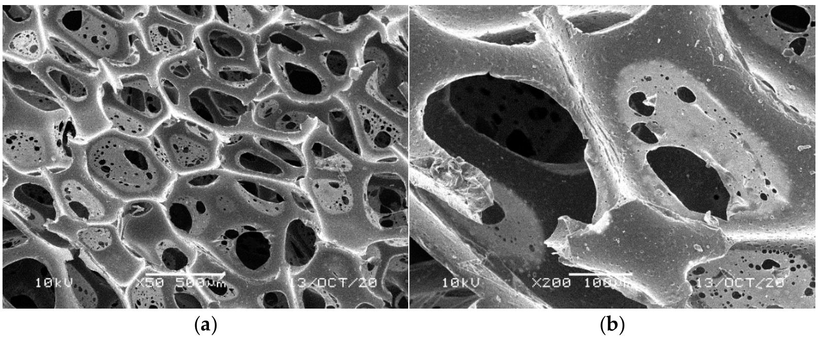 Sem images of the matrix of foam cells in reference lilac