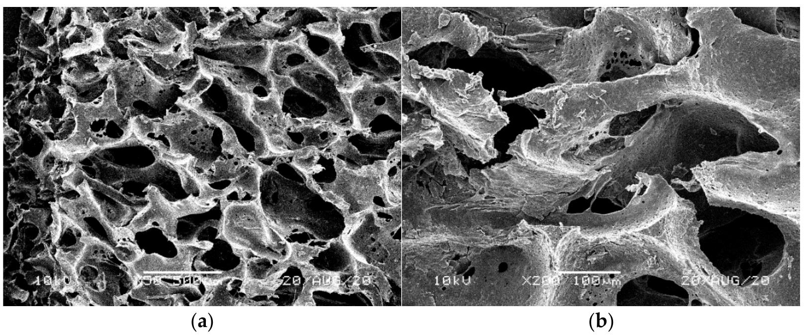 Sem images of accumulated sludge in the matrix of foam cells