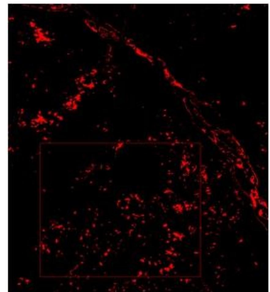 Acknowledgement fig. 8 — flood inundation map (red — flood