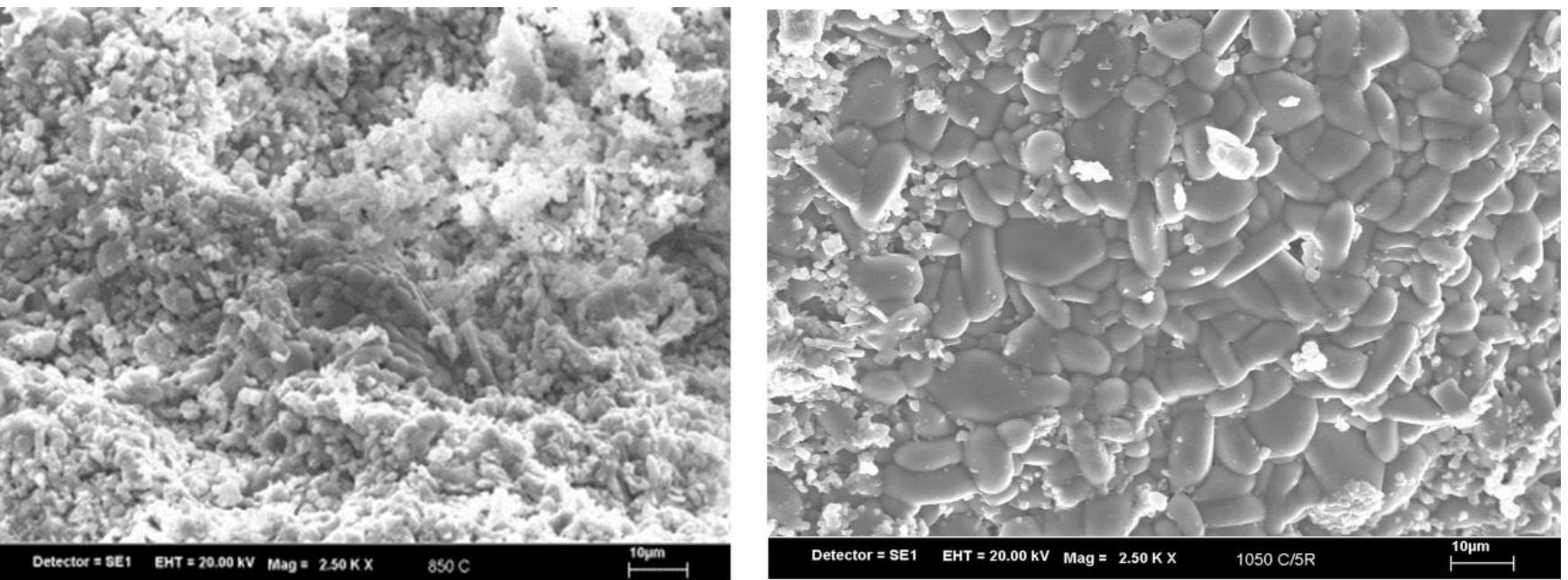 Sem images taken from the fracture surface of sintered bm2