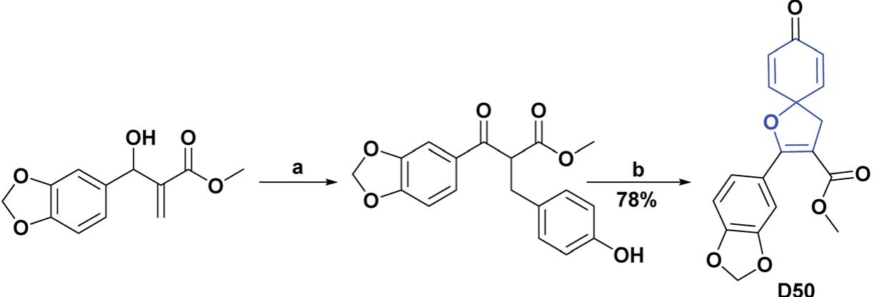 Structures, reagents and conditions for the synthesis of