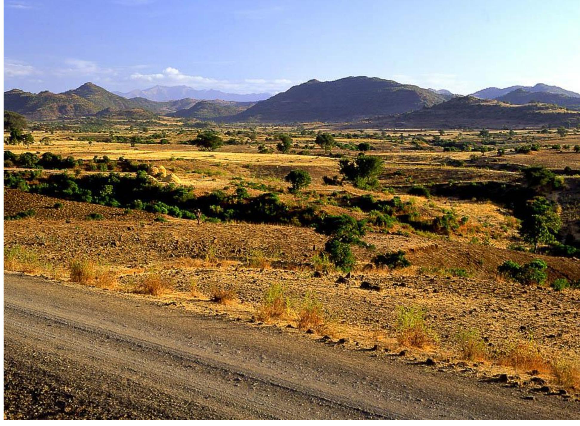 The abune yosef massif shows a complex mosaic of ecosystems