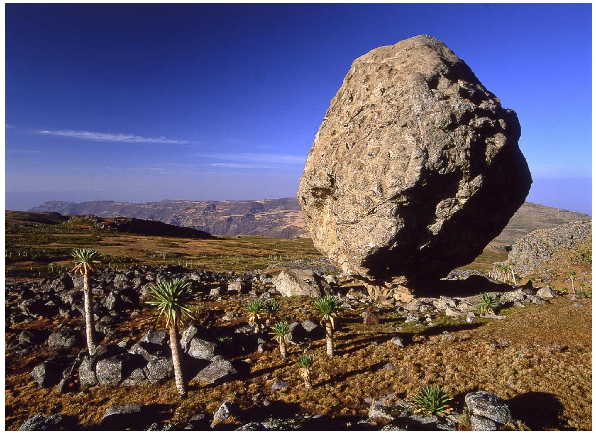 Figure 16 - The Abune Yosef Massif: Birds and Mammals of a