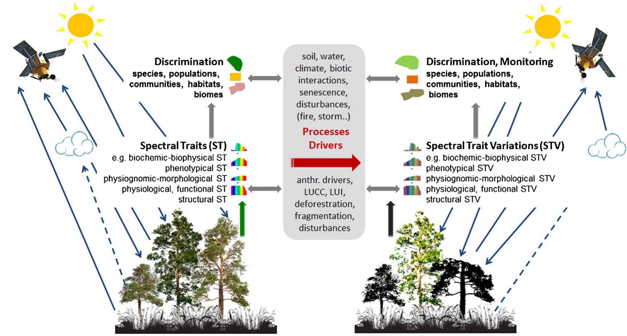 Quantification of spectral traits and their interactions