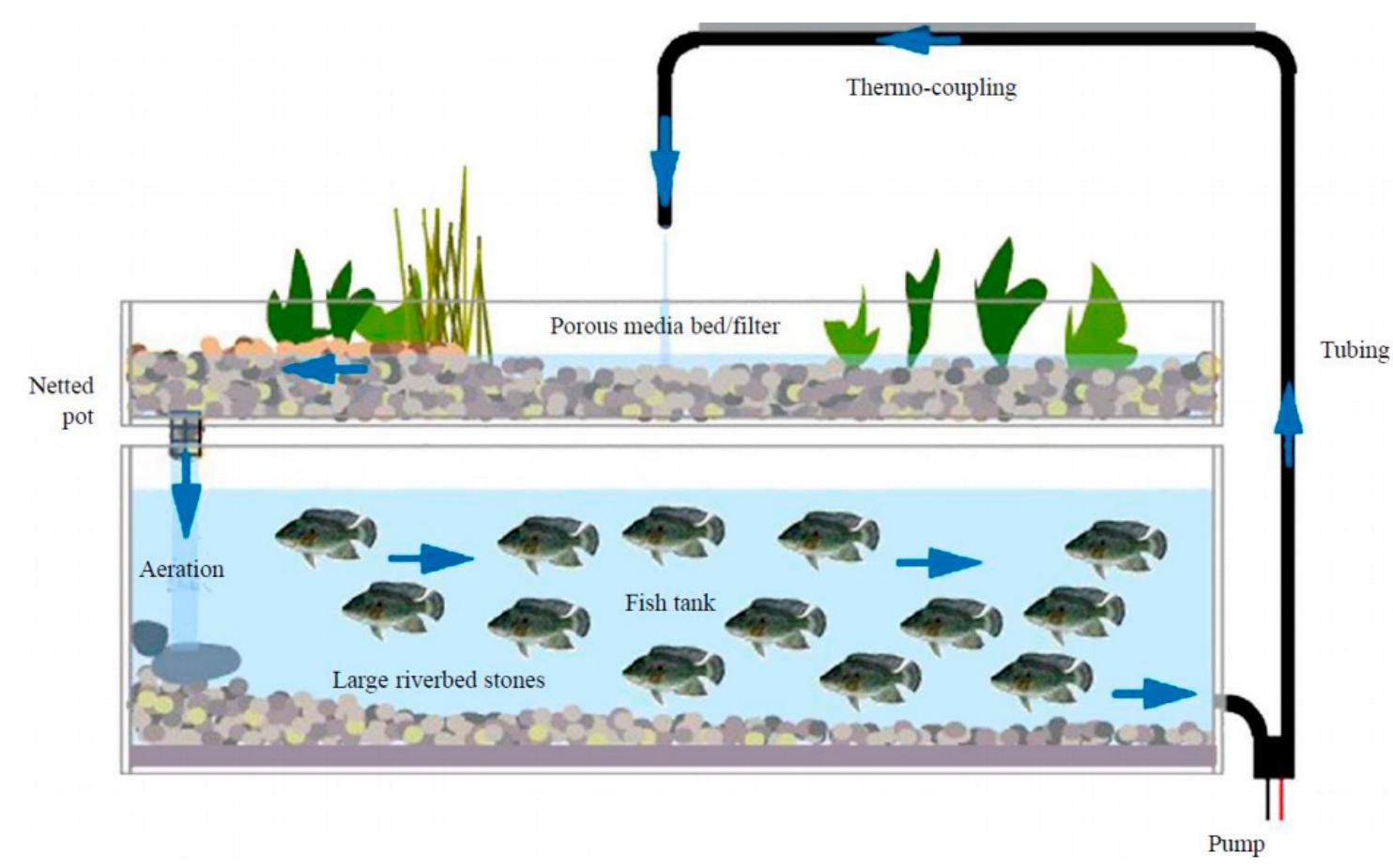 Schematic diagram of the aquaponics vertical farm. reprinted
