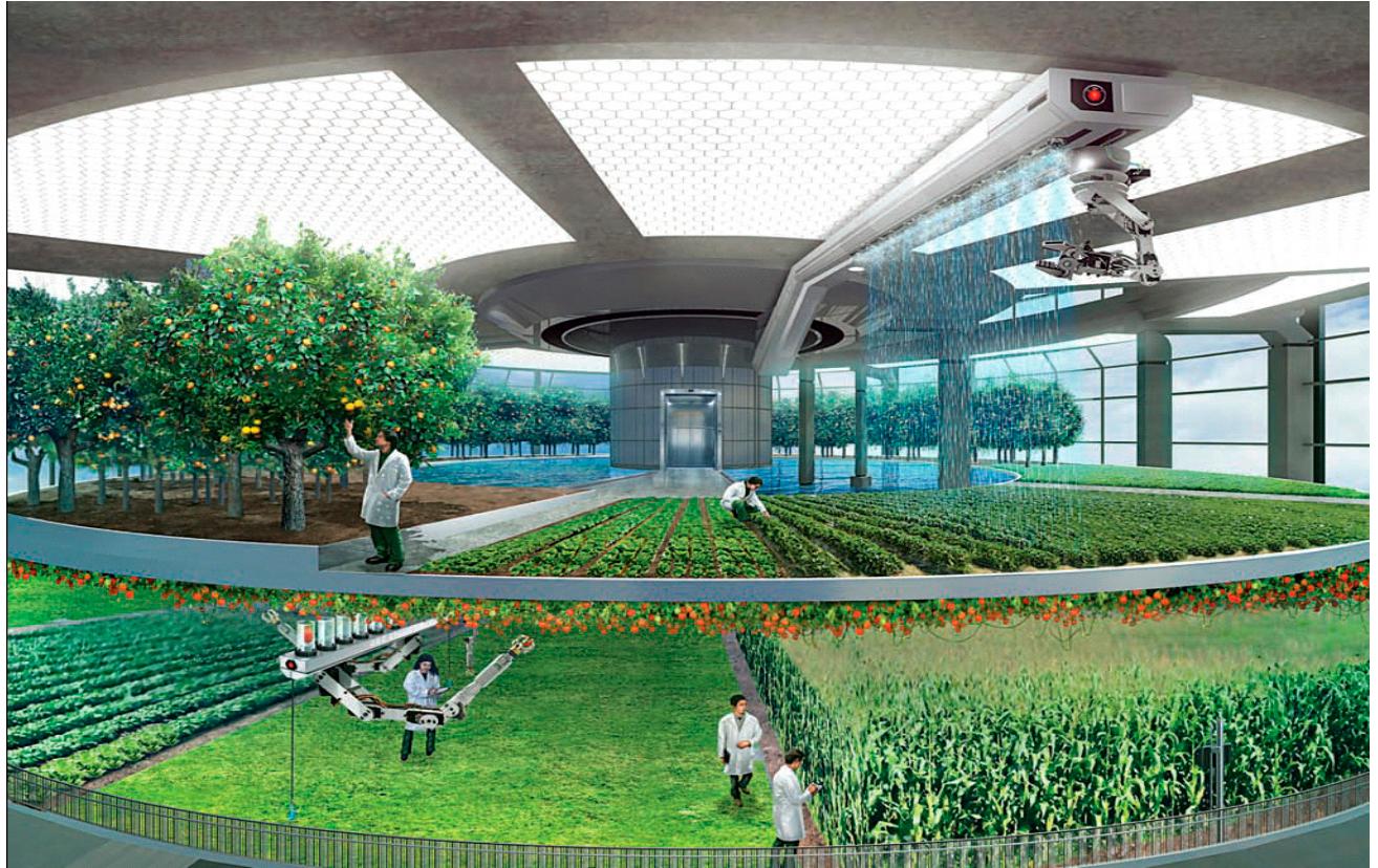 Structure of the inner layout of the urban smart vertical
