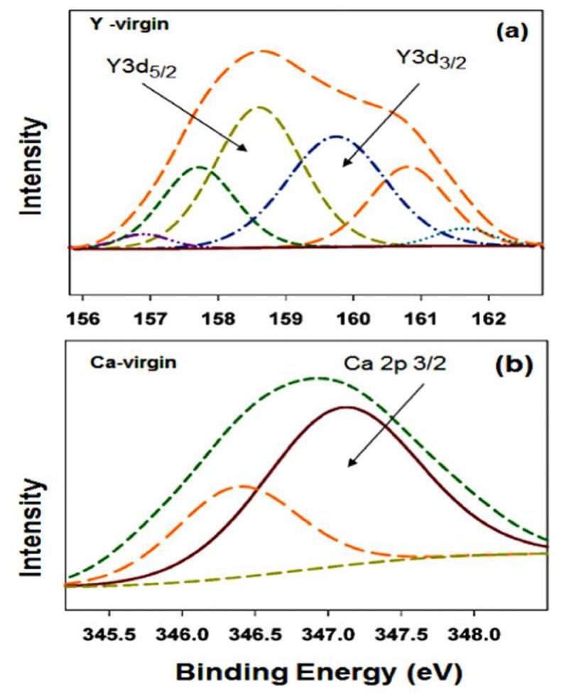 Xps spectra of the adsorbent: (a) y 3d and (b) ca 2p.